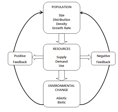 Tugas PKLH: Pengaruh Interaksi Manusia Terhadap Lingkungan | Live Your Life