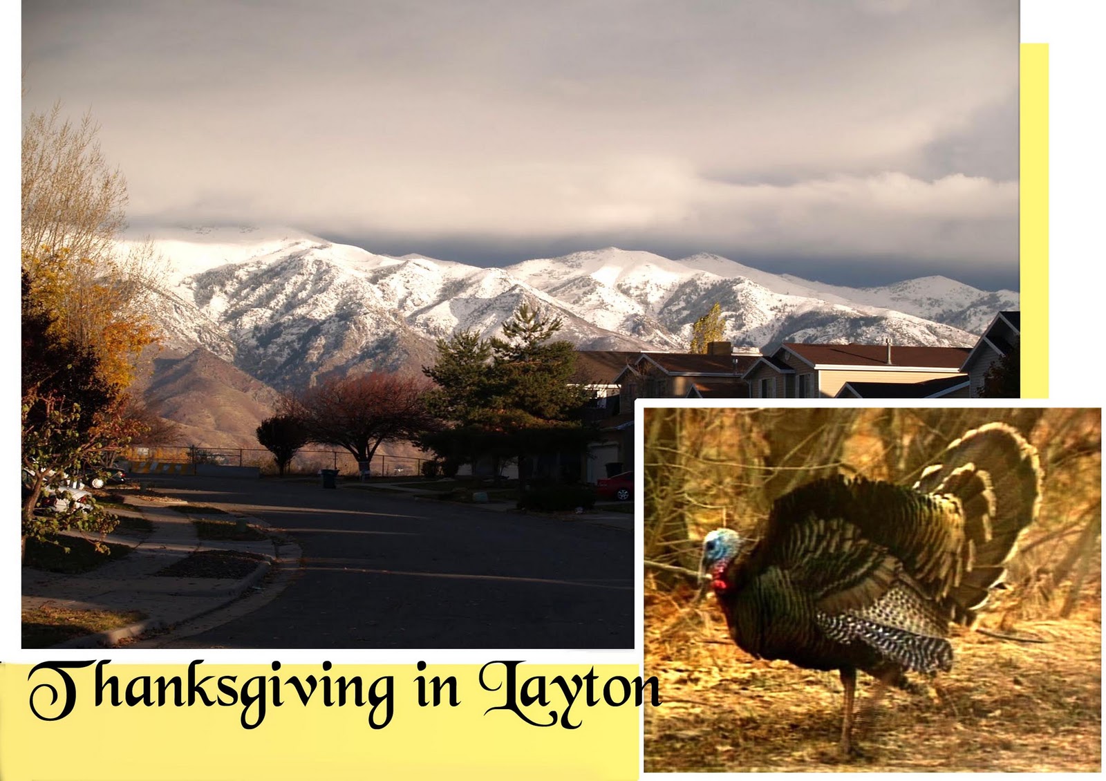 Elder JJ Simonsen: Elder Simonsen- Just completed his first year in the ...