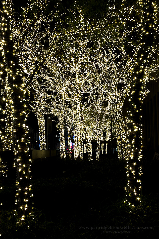 Getting it Right in the Digital Camera : Photography of Holiday Lights
