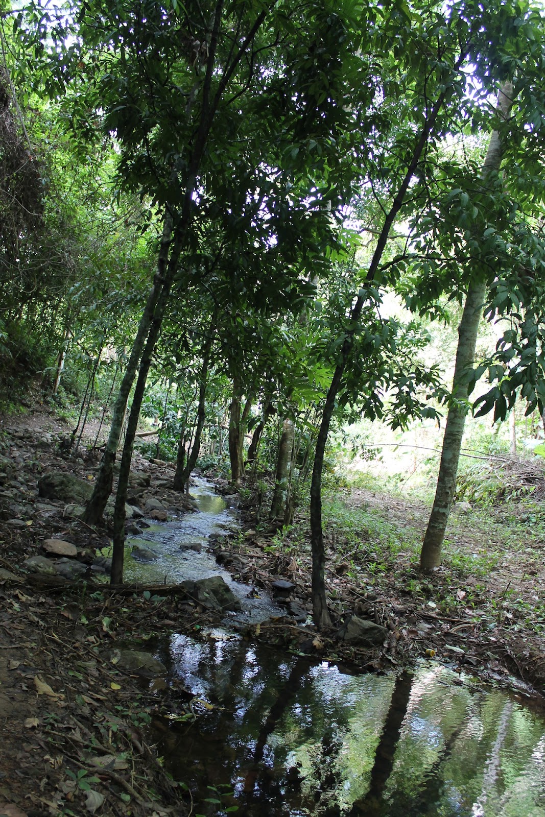 Things to do: Ao Yon Waterfall