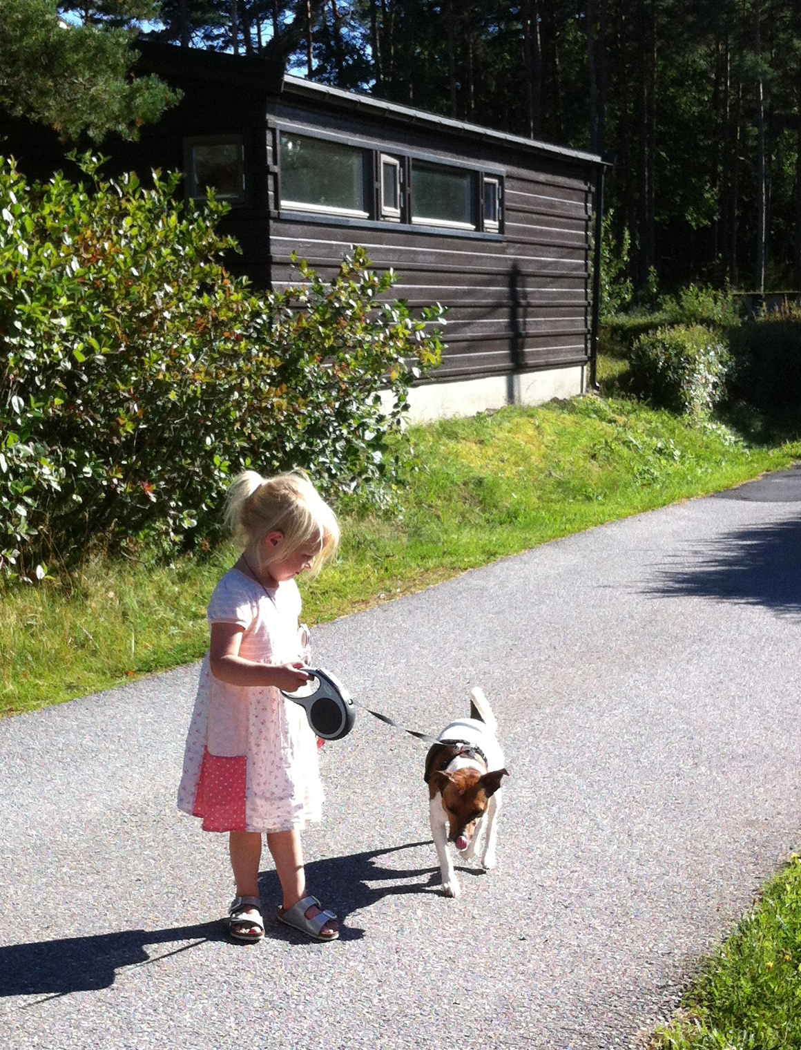 I´m Spot: To gode venner