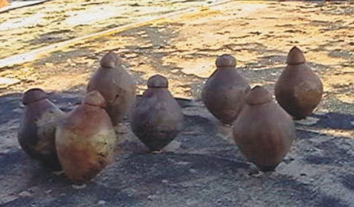 Permainan Tradisional Gasing - Permainan Tradisional Indonesia