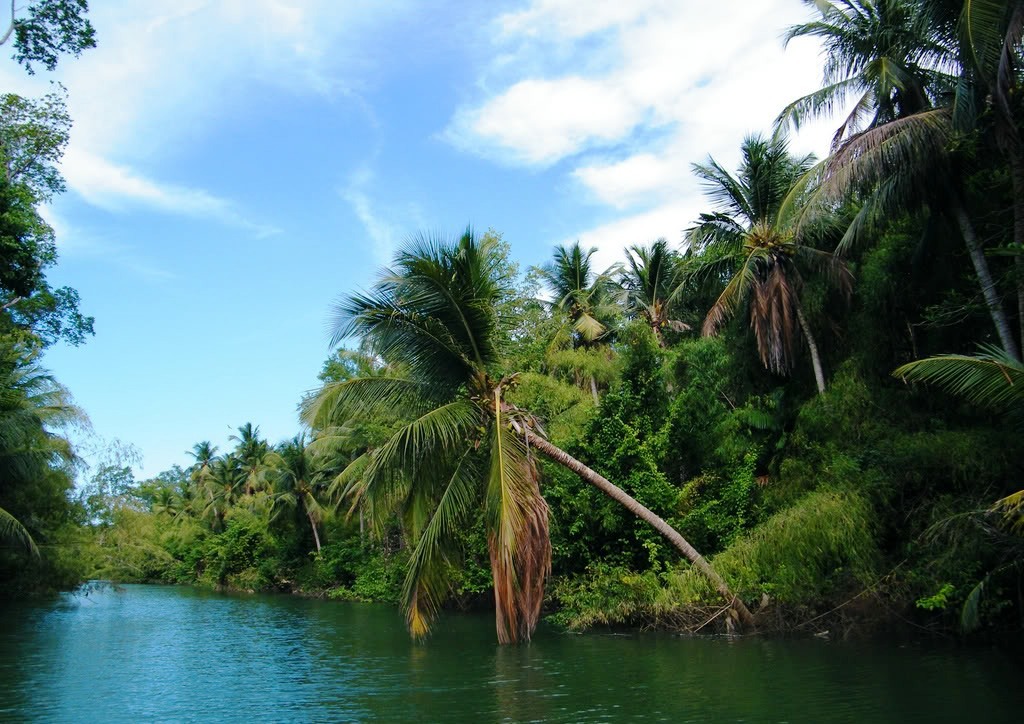 Estradas e caminhos: A exótica Ilha de Marajó