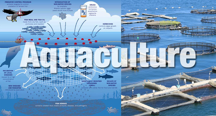 PRT3004 LIVESTOCK AND AQUACULTURE PRODUCTION SYSTEMS: The Future of ...