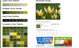 Mengetahui Kode Warna Dengan Colors Pallete Generator ~ Tutorial Blog ...