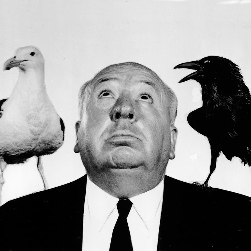 The Casual Observer: Alfred Hitchcock – The Unrecognized Genius