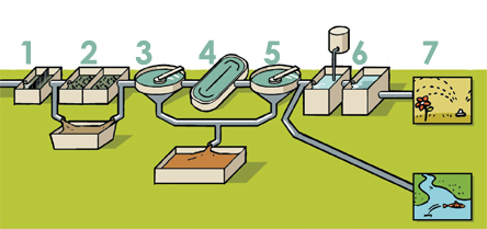 Depuración De Aguas