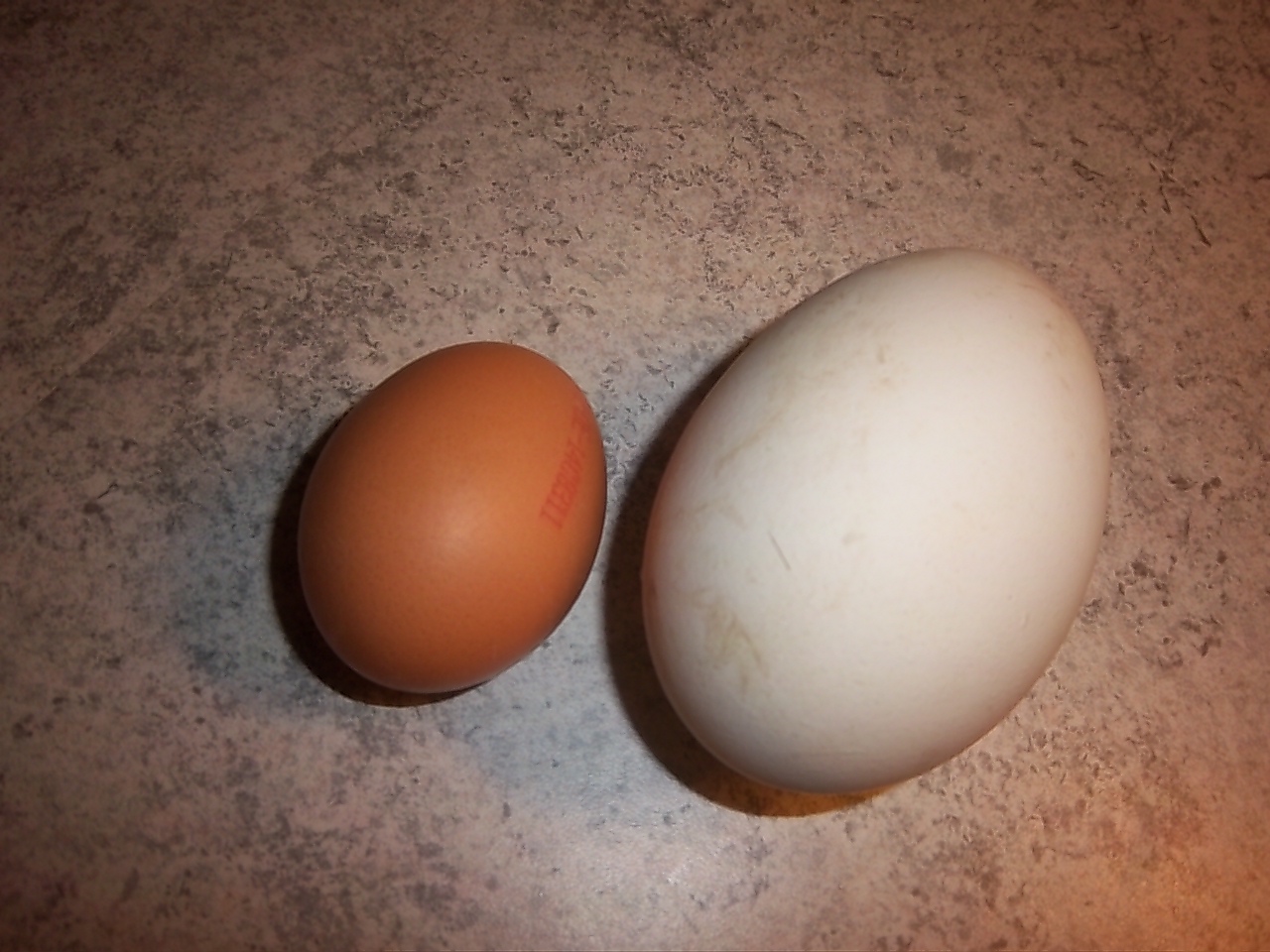 Rote Ofen- Kartoffeln mit Kräuter- Gänse- Rührei