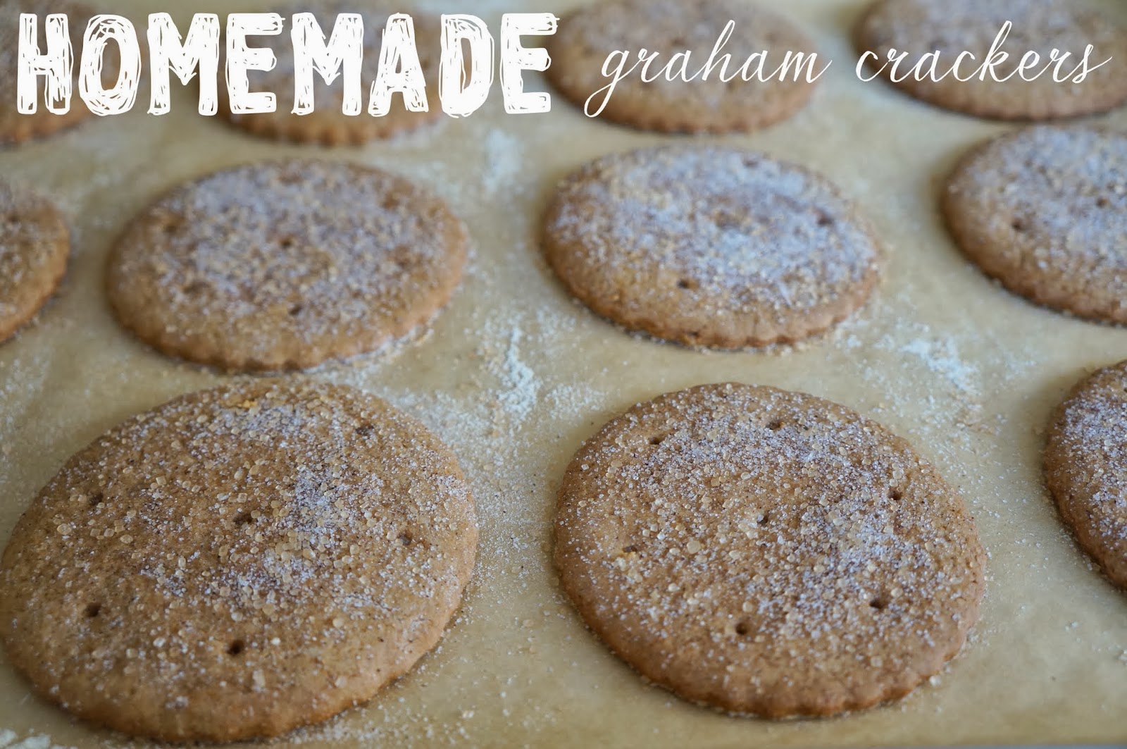 Homemade Graham Crackers