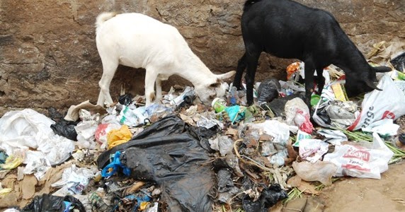 ΑΣΤΕΡΑΚΙ.....: Οι 15 φυλές που ακόμη υποστηρίζουν με λύσσα τον Σύριζα…