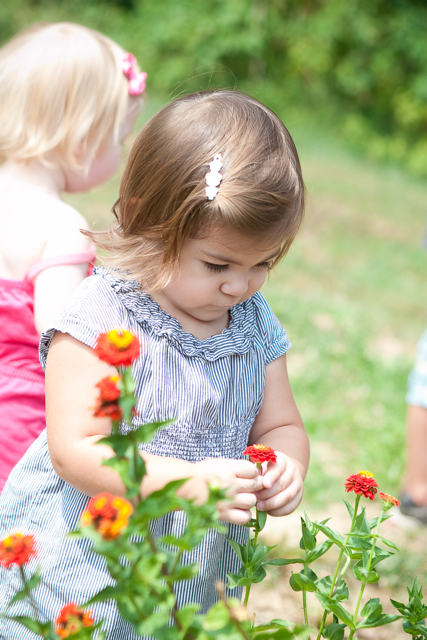 Wee Care: Flower arranging with kids