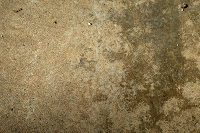 V3N0M's - 2D and 3D art: How to make realistic grass in 3Ds MAX