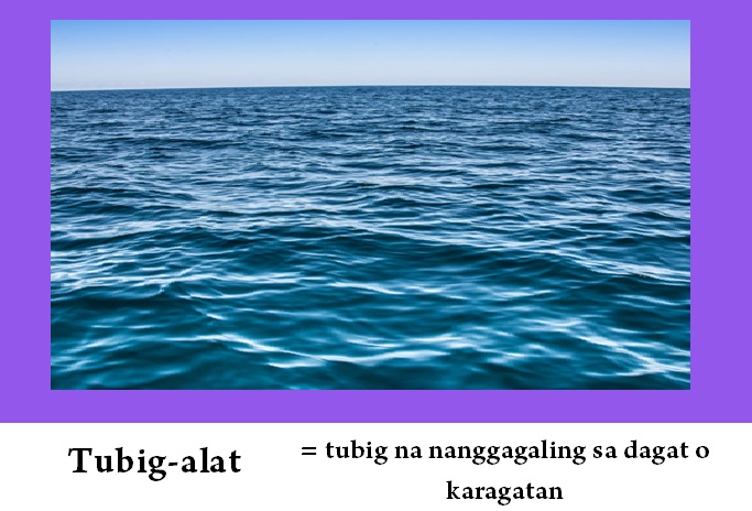 My Homeworks: TAMBALANG SALITA-Tubig-alat