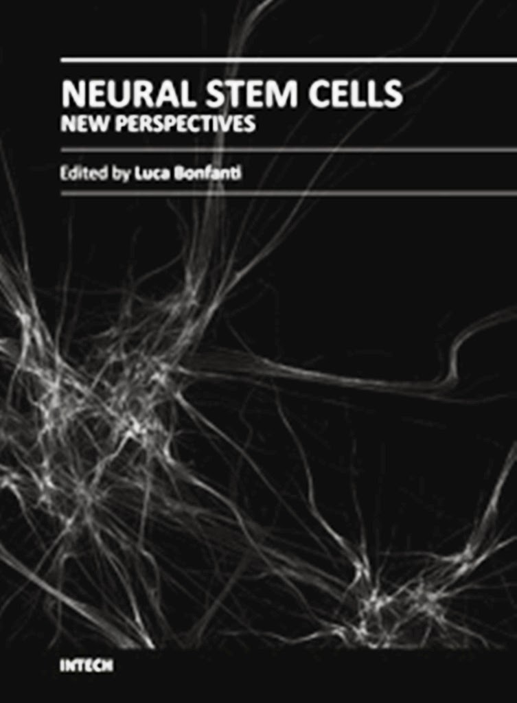 Neural Stem cells – New perspectives | Kalash eDepot