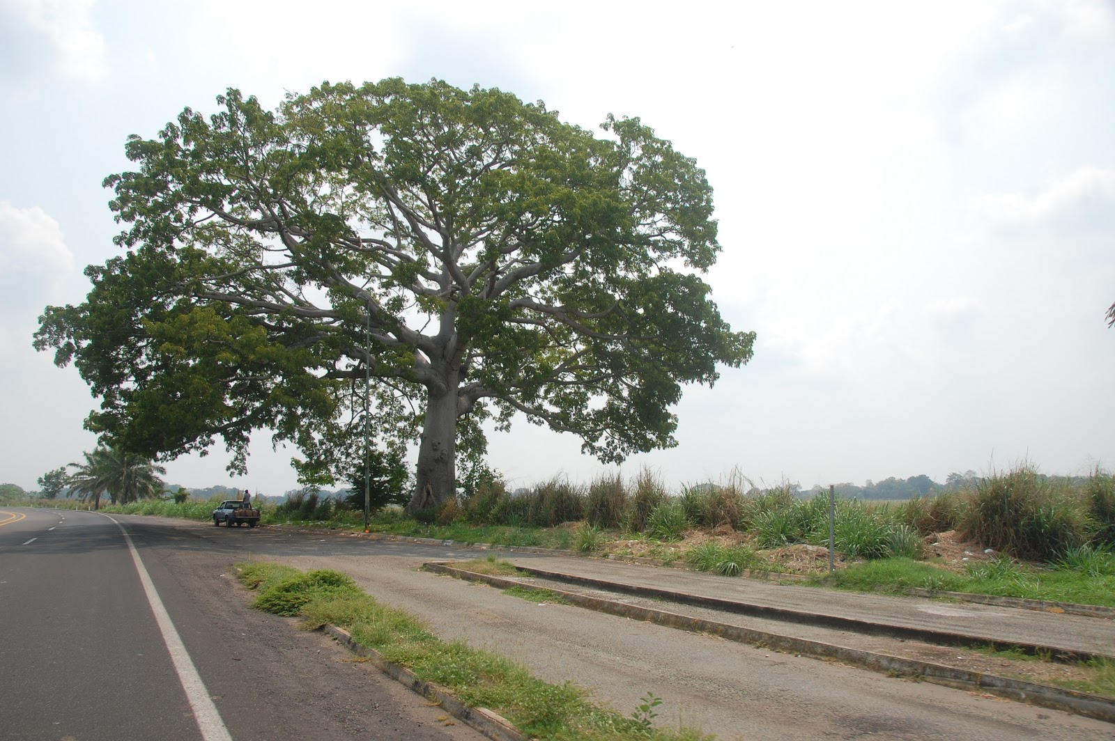 S/V Grace: Liliana and the Yaxche