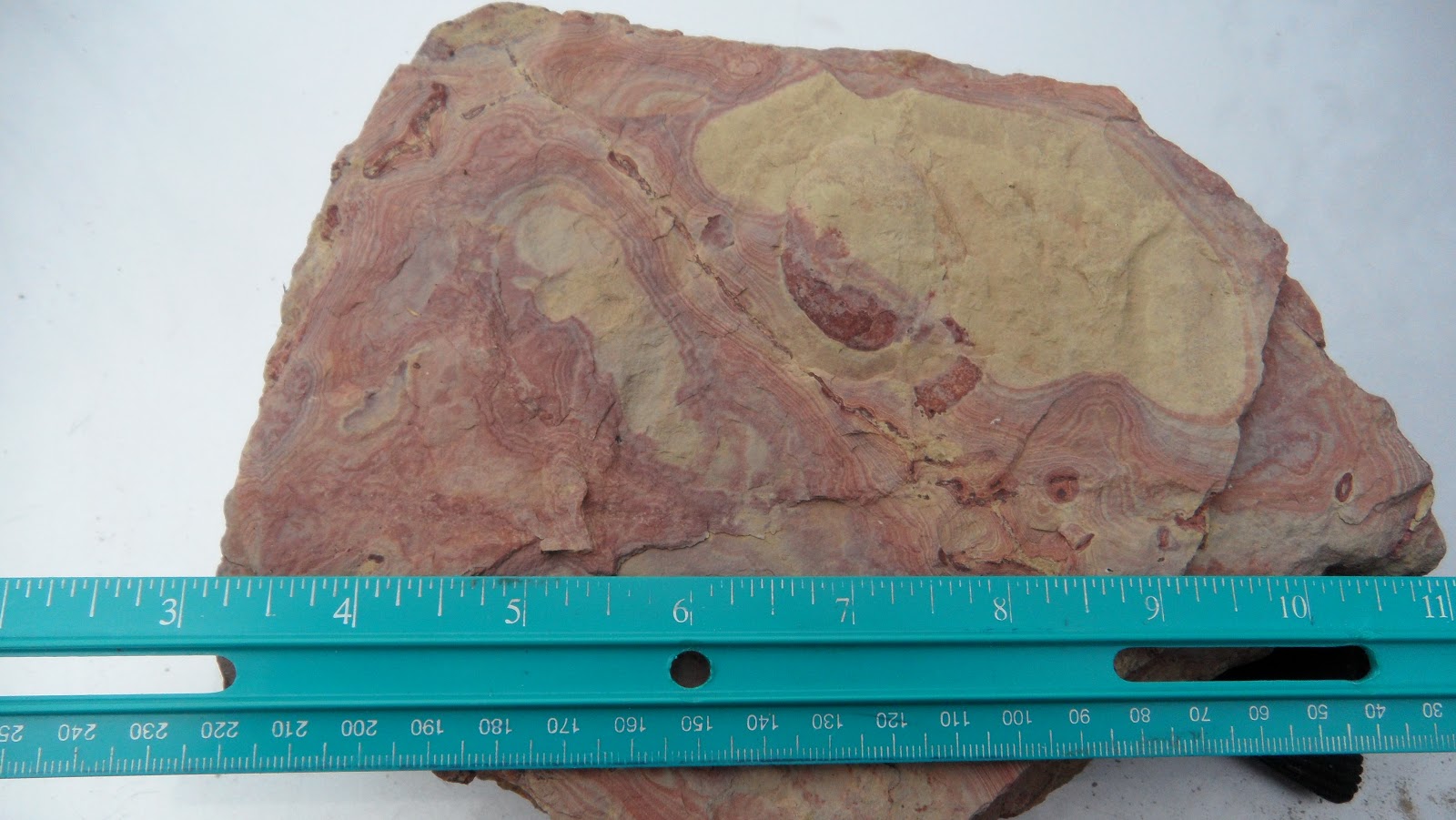 Fossils and Geology of Lanark County, Ontario: Mud cracks, Liesegang ...