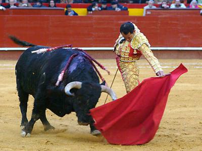 La Aventura... a vuela Pluma: "EL TORERO" de Haydée Acosta Godoy