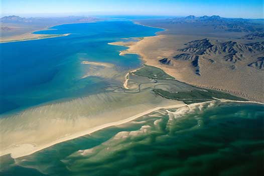 BiOjUnKiEs: Isla Tiburón