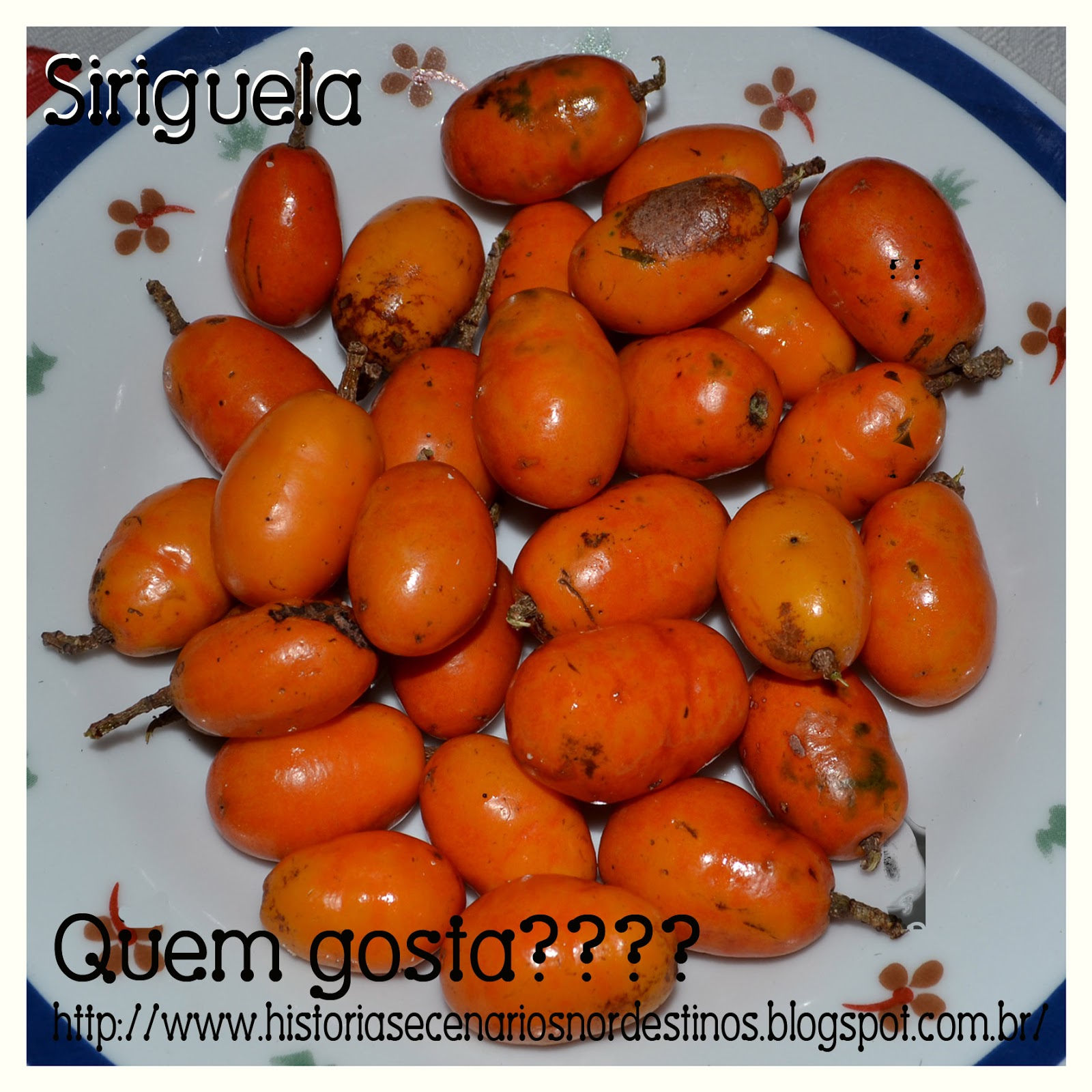 Histórias e Cenários Nordestinos: Siriguela