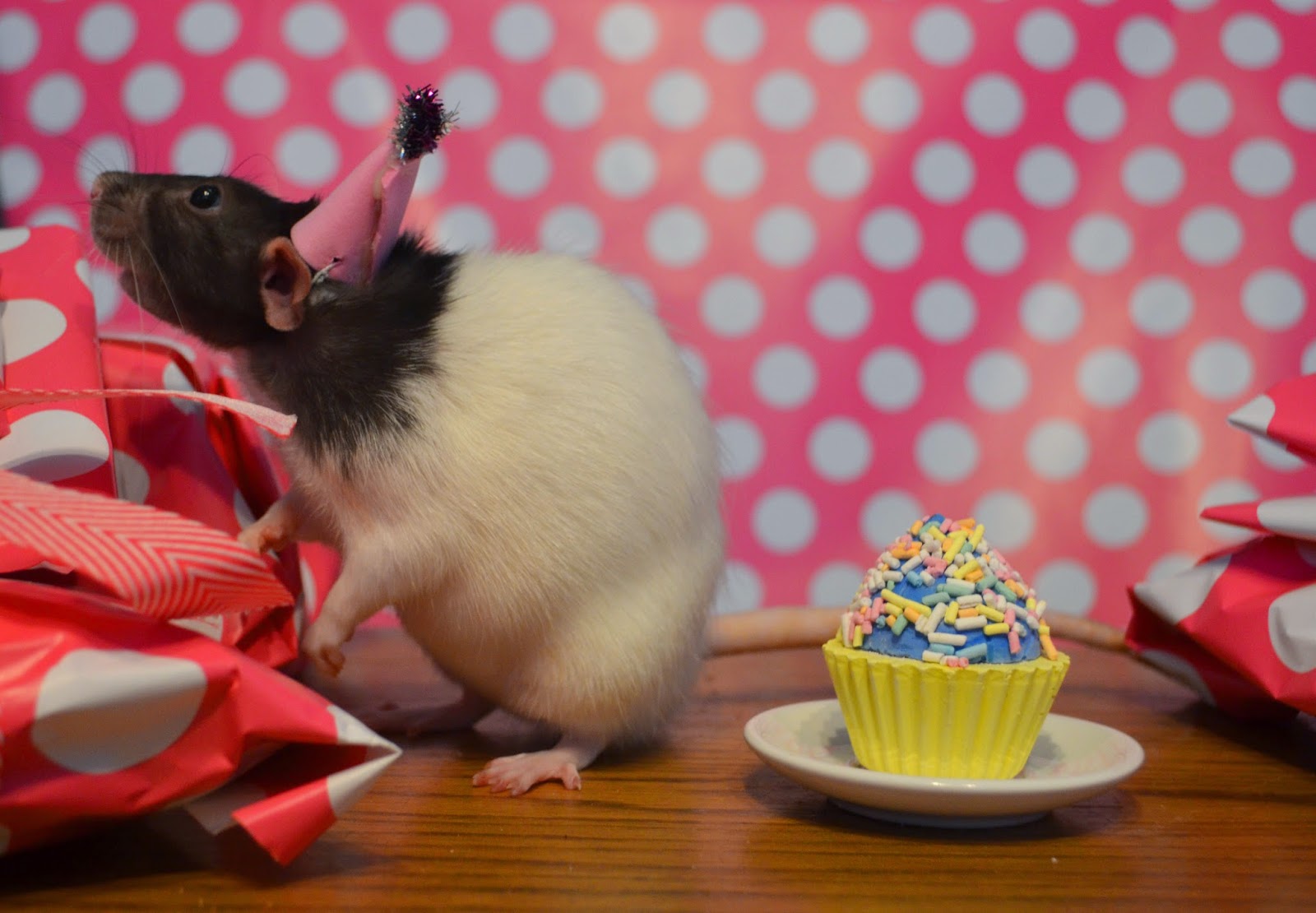Crafty Mom of 3: It's A Rat Birthday Party!!!!