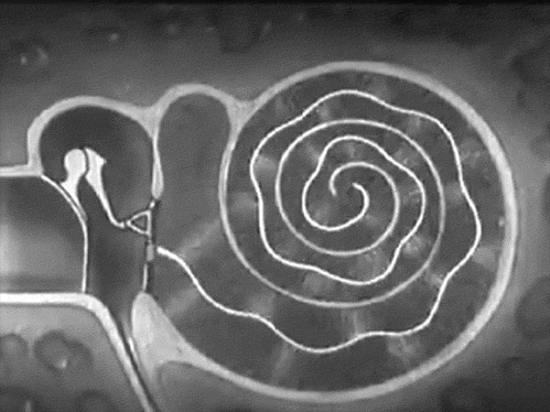 Triumph of a Man Called Da-Da: The Art and Science and Evil of Sound ...