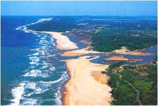 GEOLOGÍA : Ambiente de Transicion