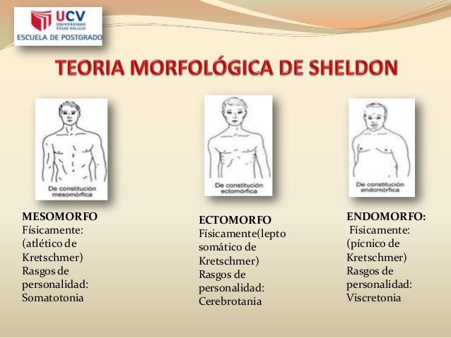 El Acorazado Cinéfilo - Le Cuirassé Cinéphile: Teorías de la ...