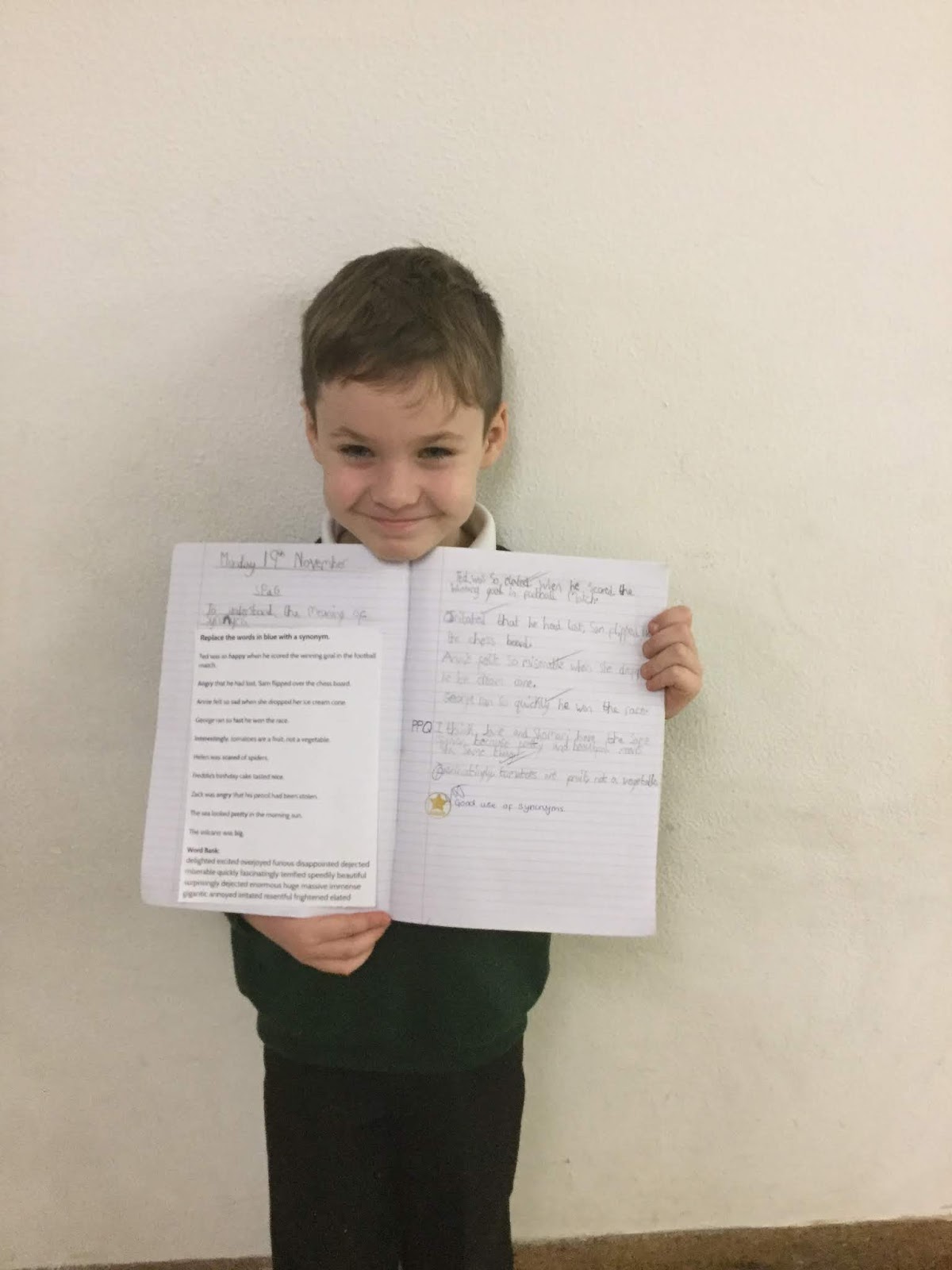 Mead Primary: Northern Ireland Star Writer