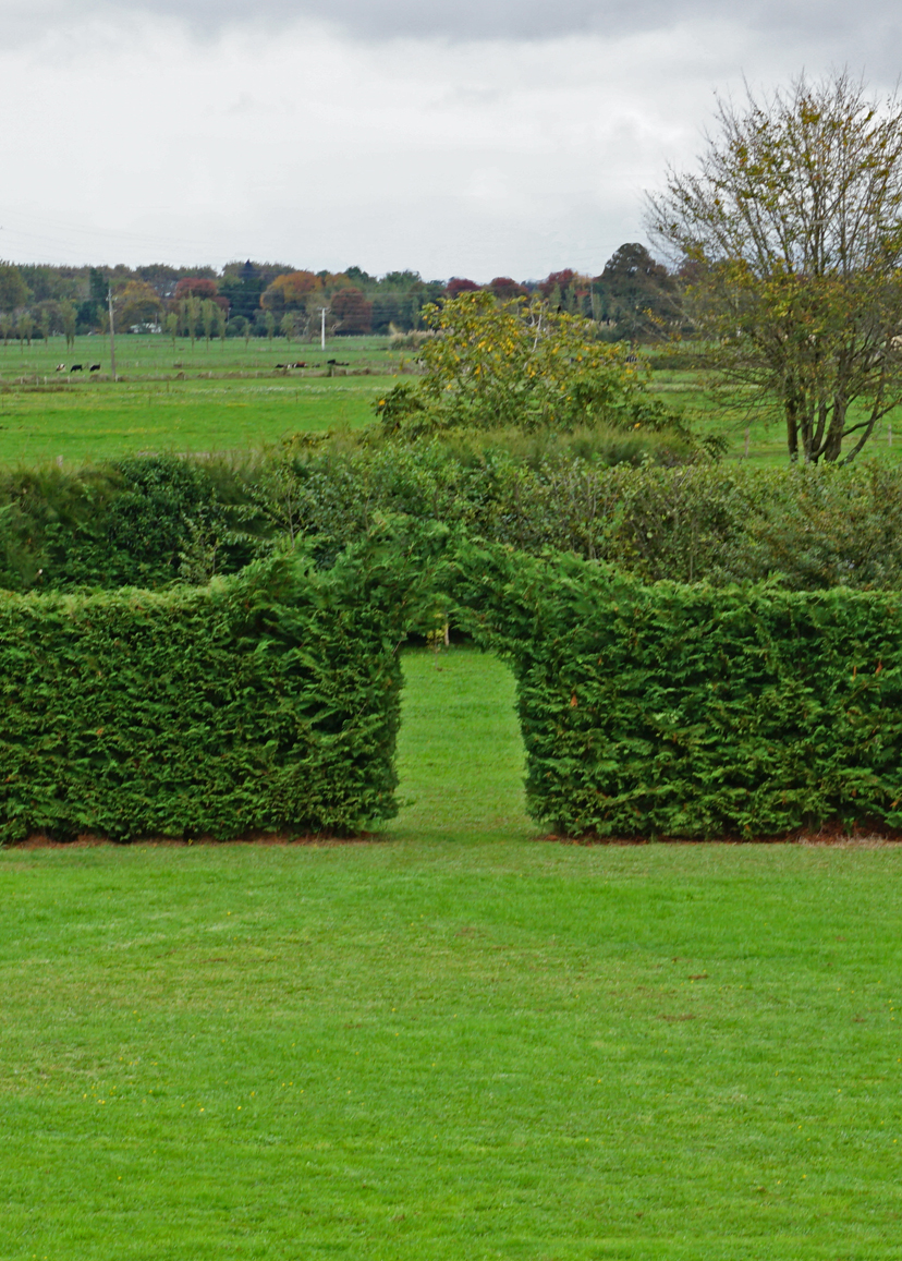 Willowbrook Park: Hedge Archways...