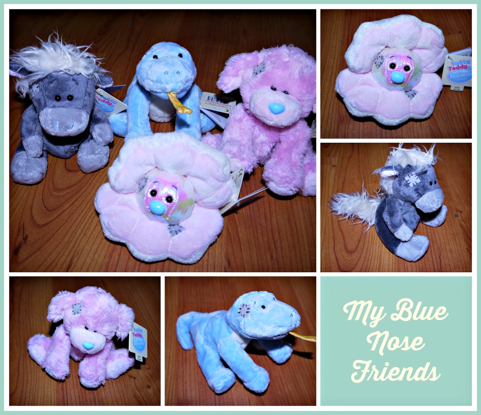 Inside the Wendy House: Meet The Latest My Blue Nose Friends