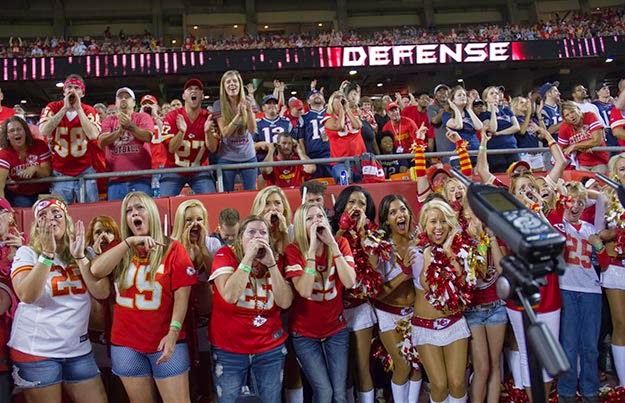 Roar at stadium sports world record