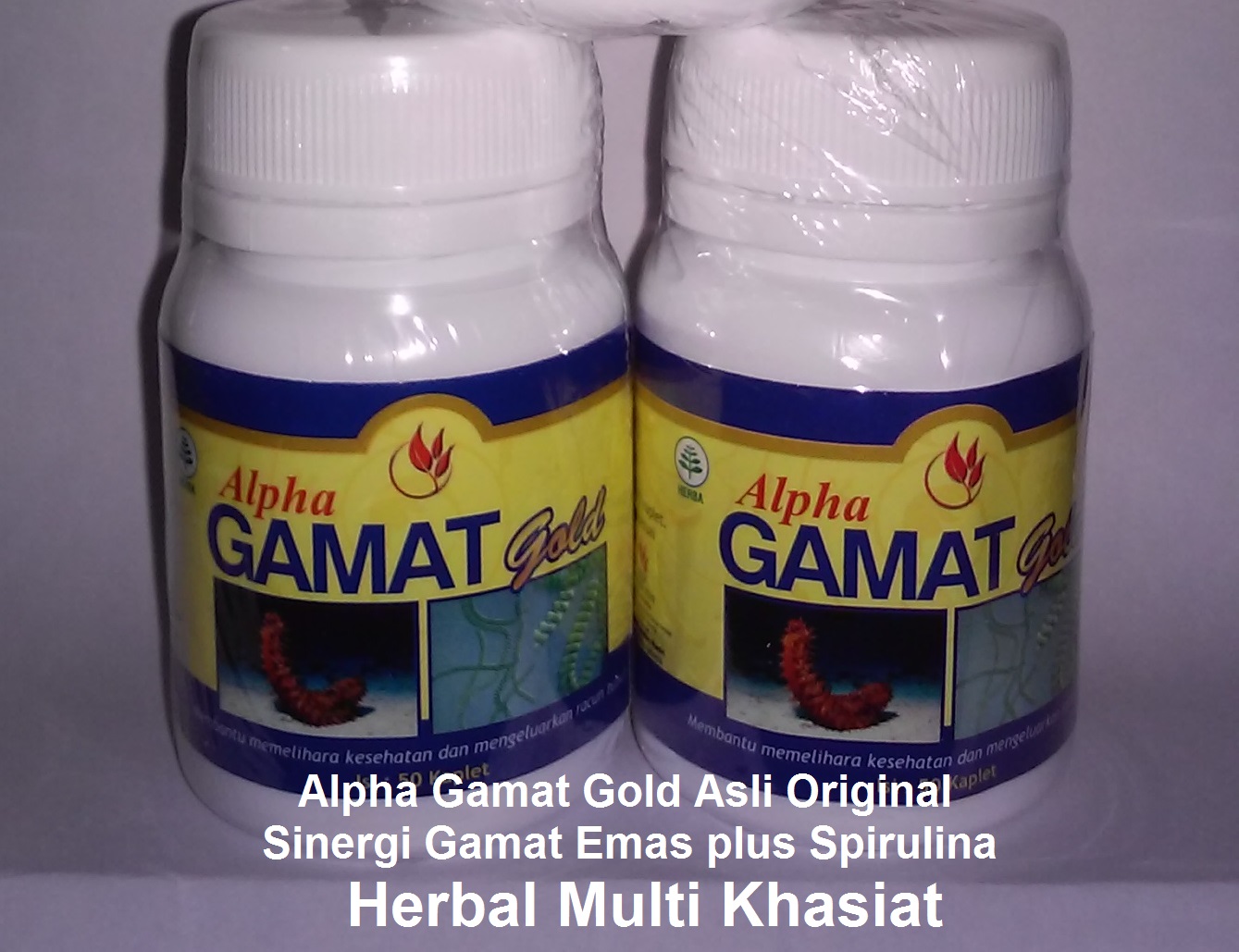Agen Jual khasiat manfaat kapsul jelly gamat goldG asli original - 1 ...