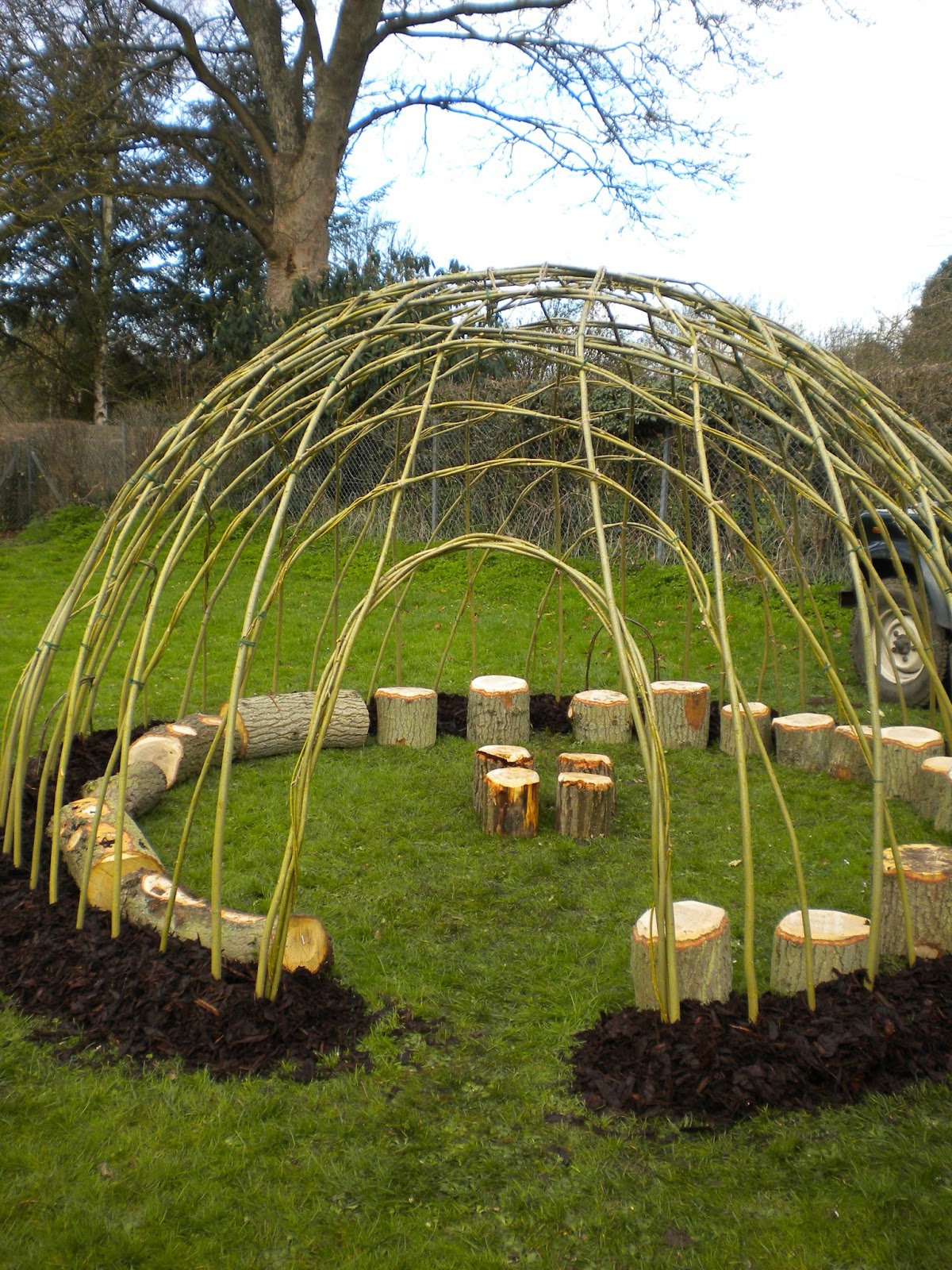 growing health by design: ~ willow weaving