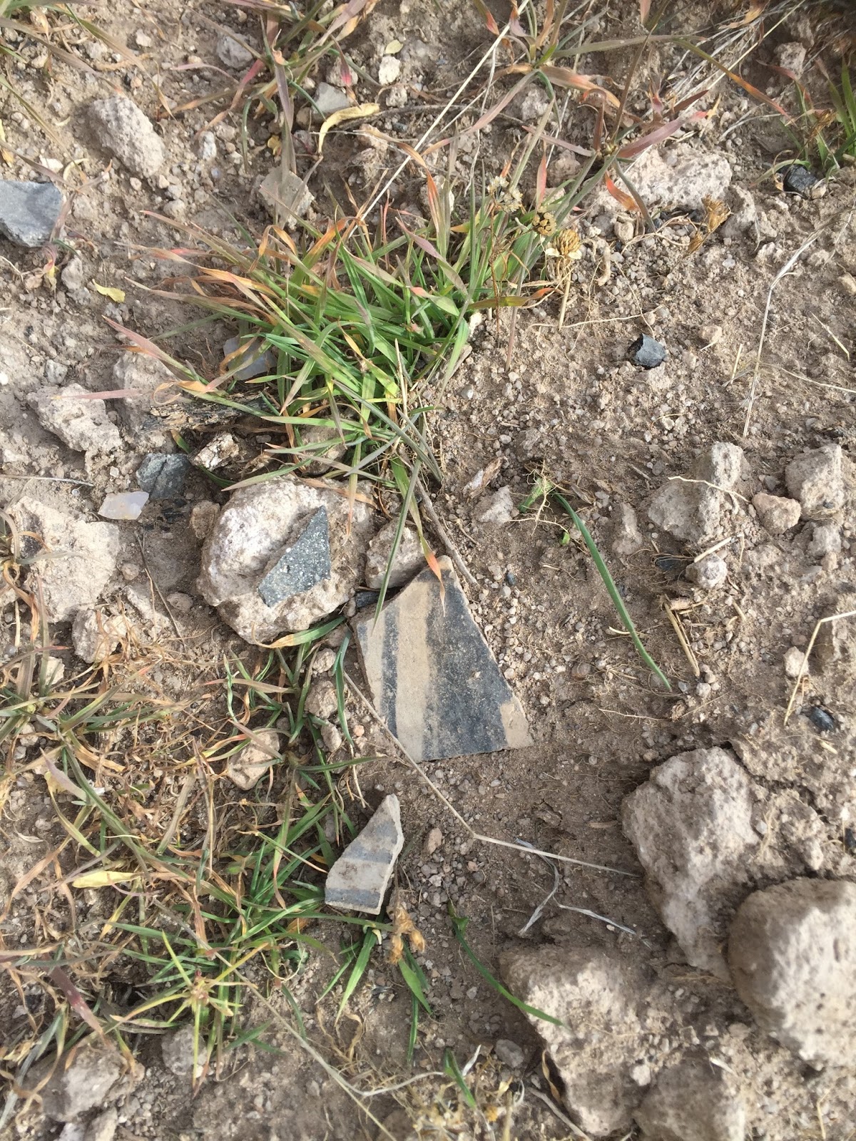 Southern New Mexico Explorer: Tsi-p'in-owinge( Mesa del Pueblo)- Santa ...