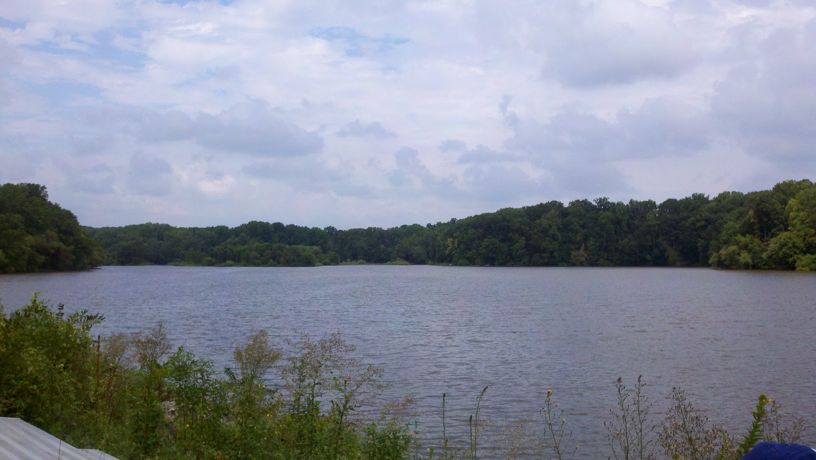 The Next Best Thing.....: Lake Accotink Park in Springfield, VA!