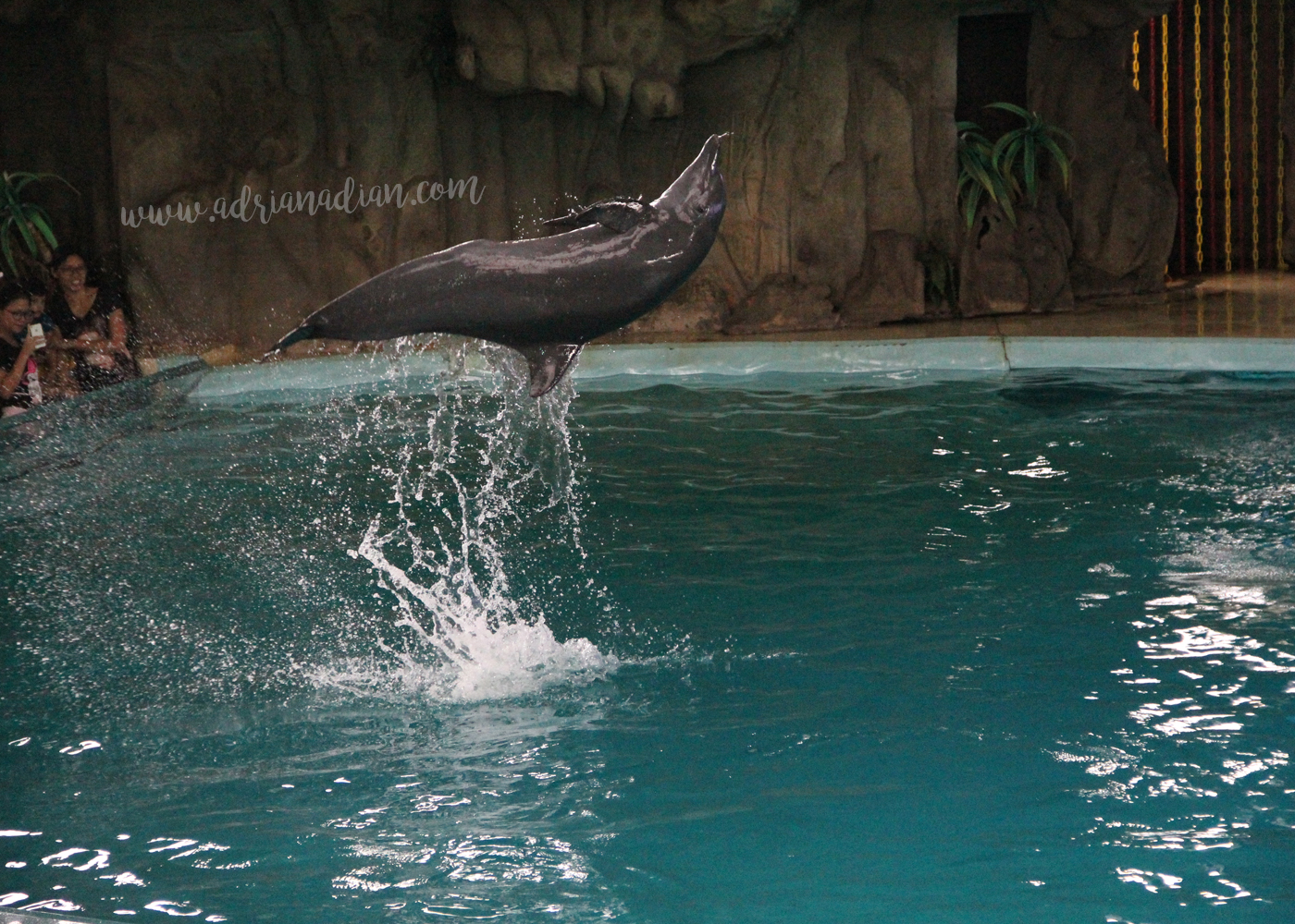 Liburan ke Ocean Dream Samudra Ancol Yuk!