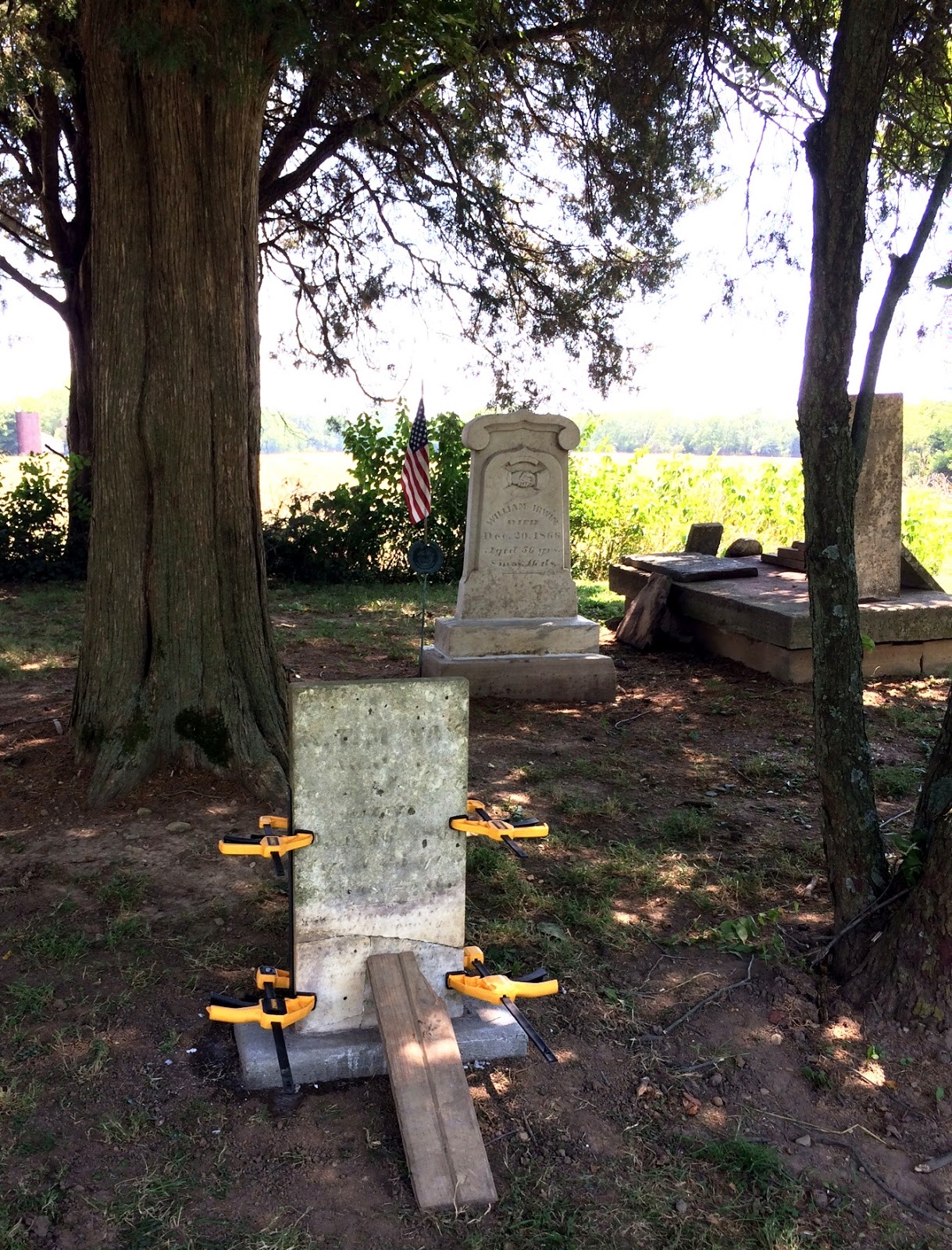 Exploring Almost Forgotten Gravesites in the Great State of Ohio: Sheep ...