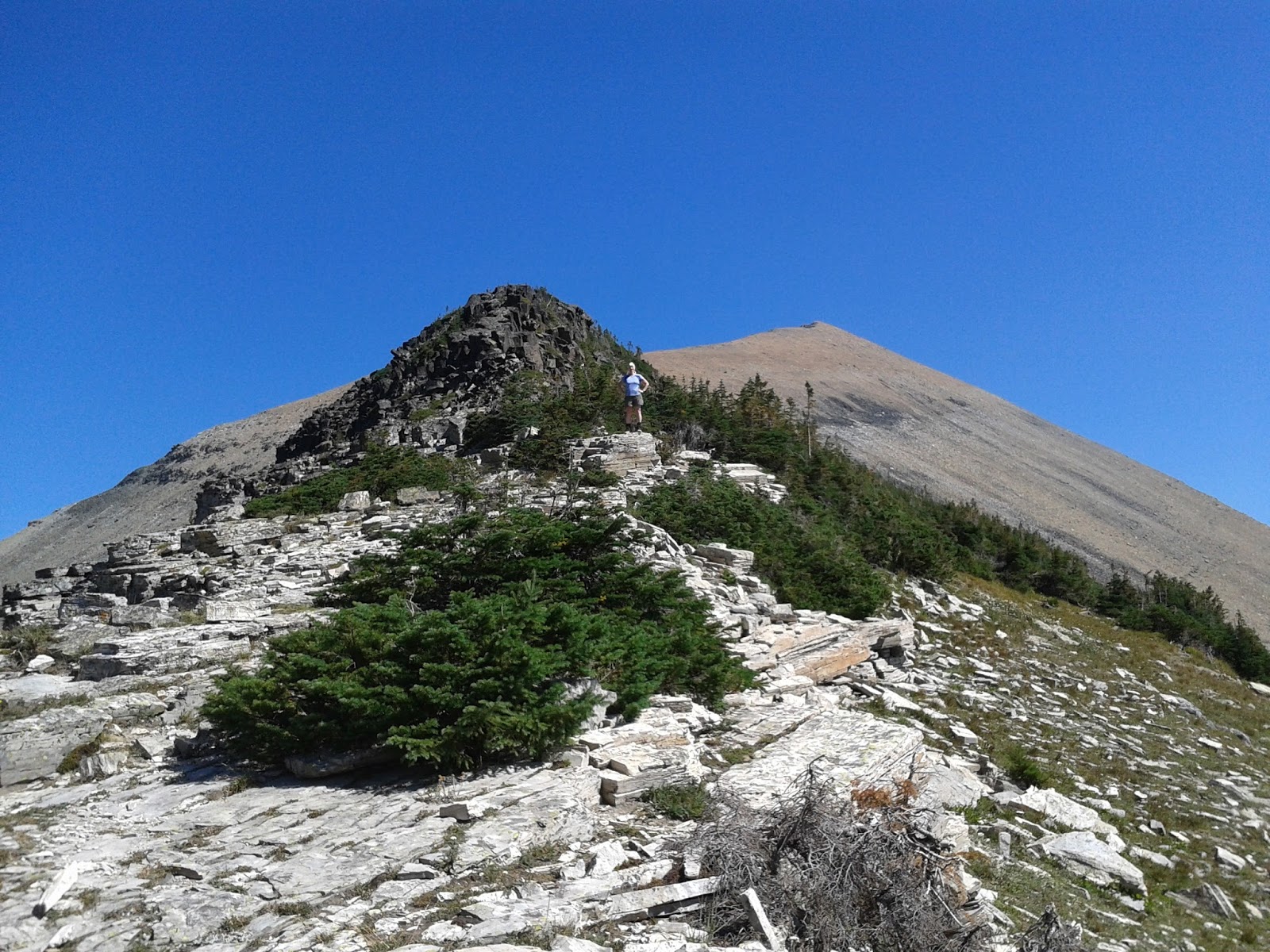 Smoky Scout's Hiking Adventures: Glacier National Park: Triple Divide Pass