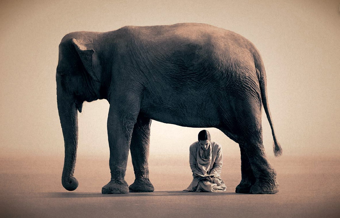 Anthony Luke's not-just-another-photoblog Blog: Photographer Profile ...