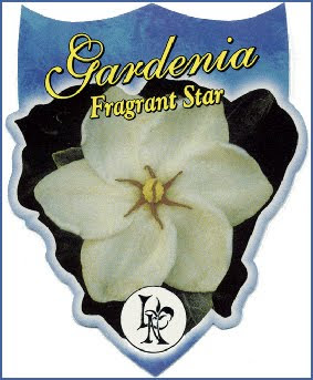 WKD (01) ... World Kigo Database . . . (WKD): Gardenia (kuchinashi)