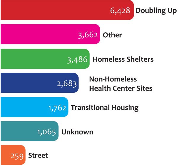 Health Services for Homeless Population in Michigan | Data in the News
