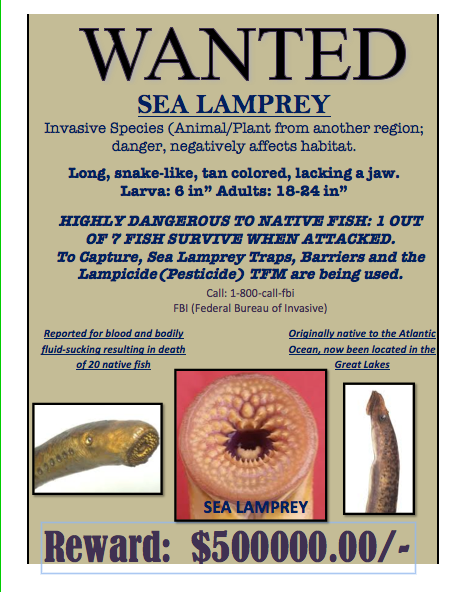 Marine Biology and Co.: WANTED!!!!! ;)