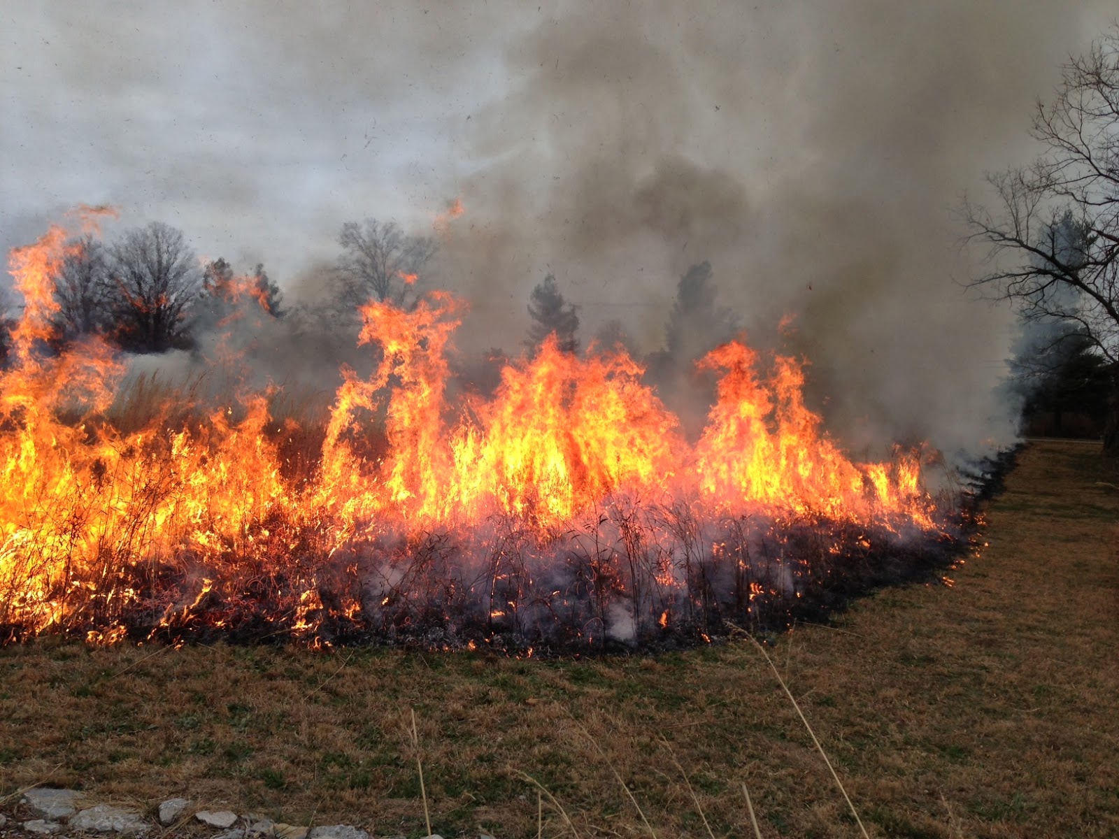 KY Natural Inquirer: Help! Fire!