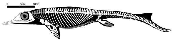 Escenarios prehistóricos: Chaohusaurus