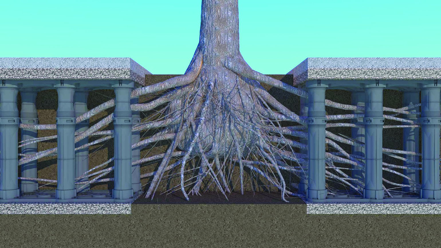 Openplants: Air Flown Trees Landing on a Rooftop