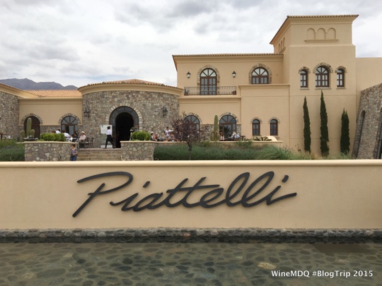 Wine MDQ: Enoturismo: Piattelli suena fuerte en los Valles Calchaquíes