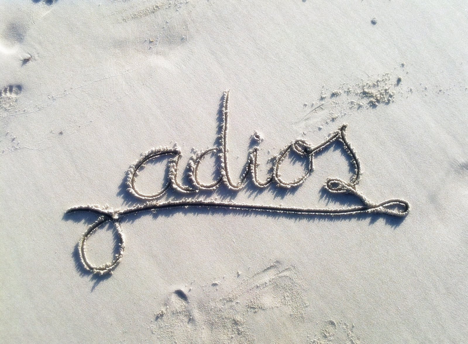 Pastoral de la salud, Bioética y Cuidados Paliativos (PASBIOPAL): El adiós