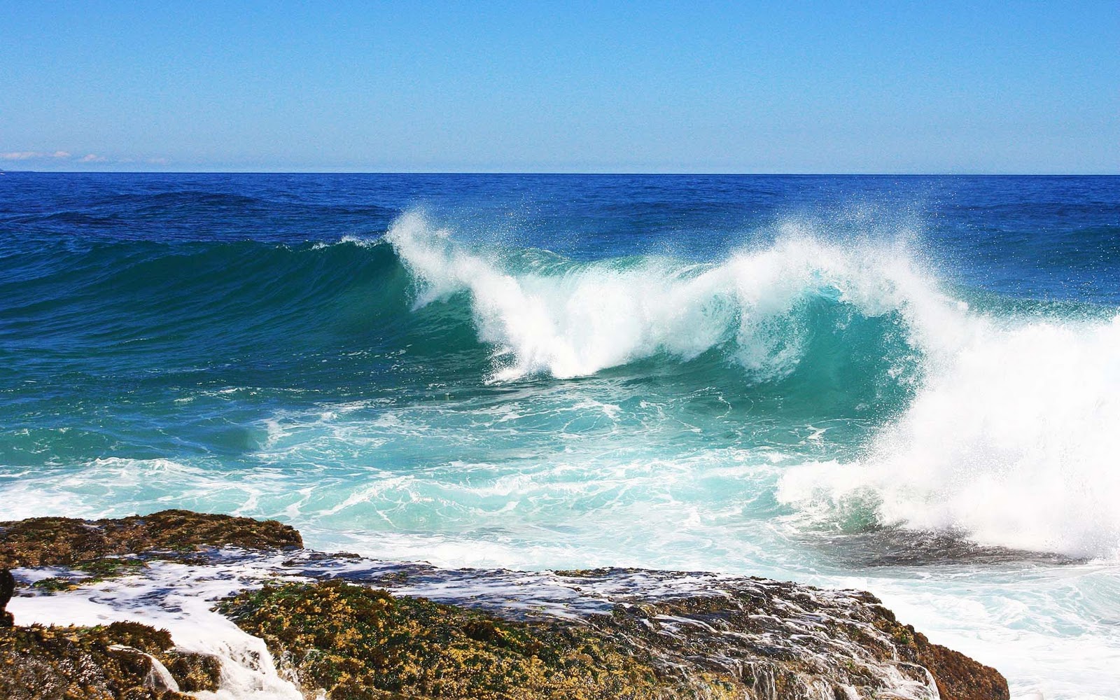 seo design graphics web design: sea wallpapers