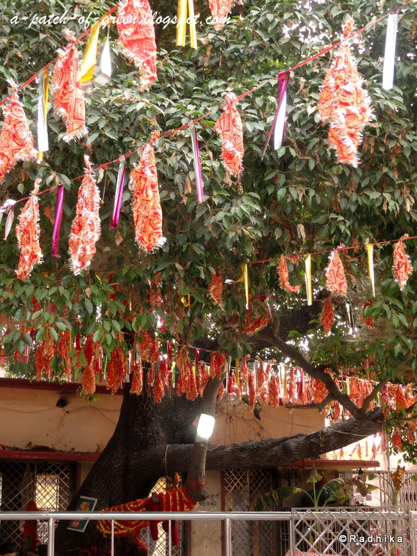 a patch of green: Maulshree