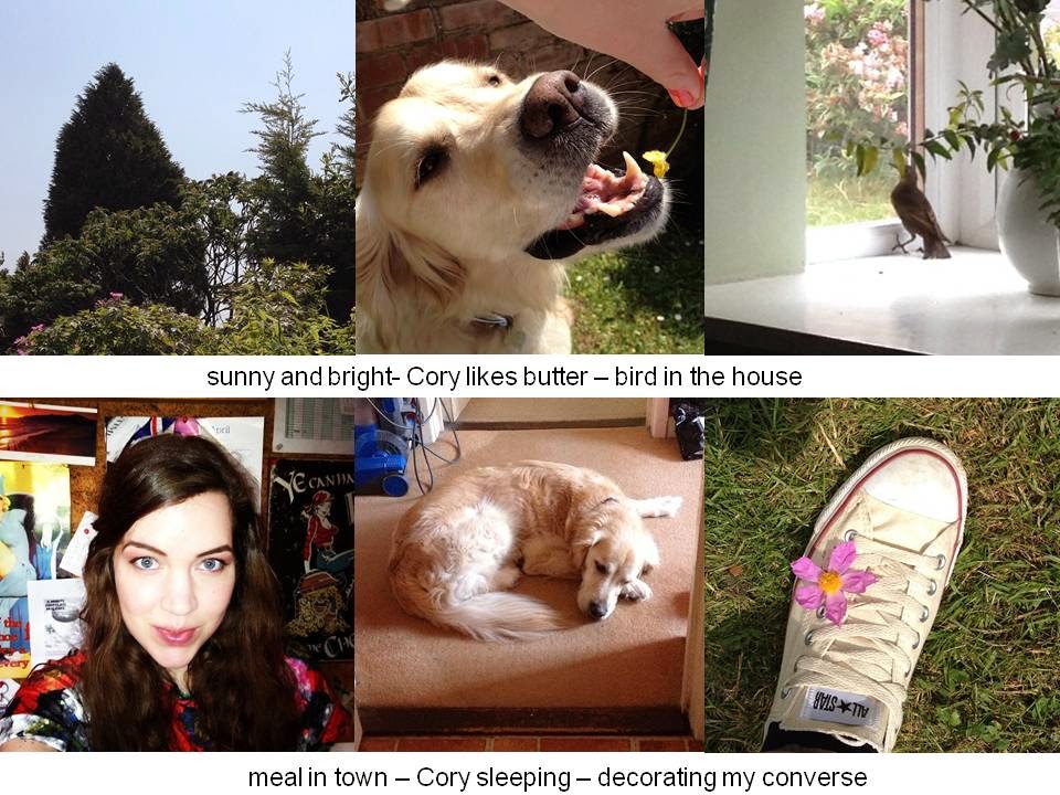 alice loves: photo - instagram update